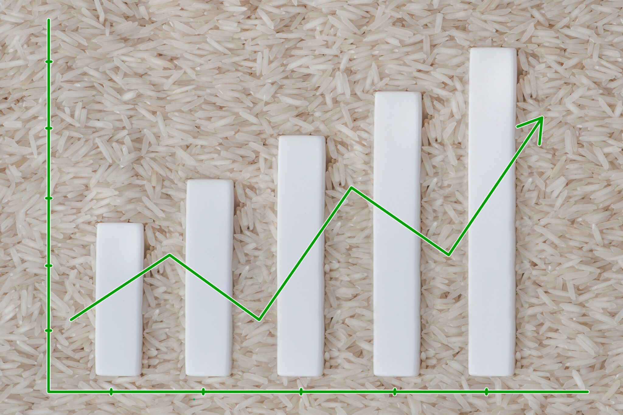 Alex de Waal | World Peace Foundation