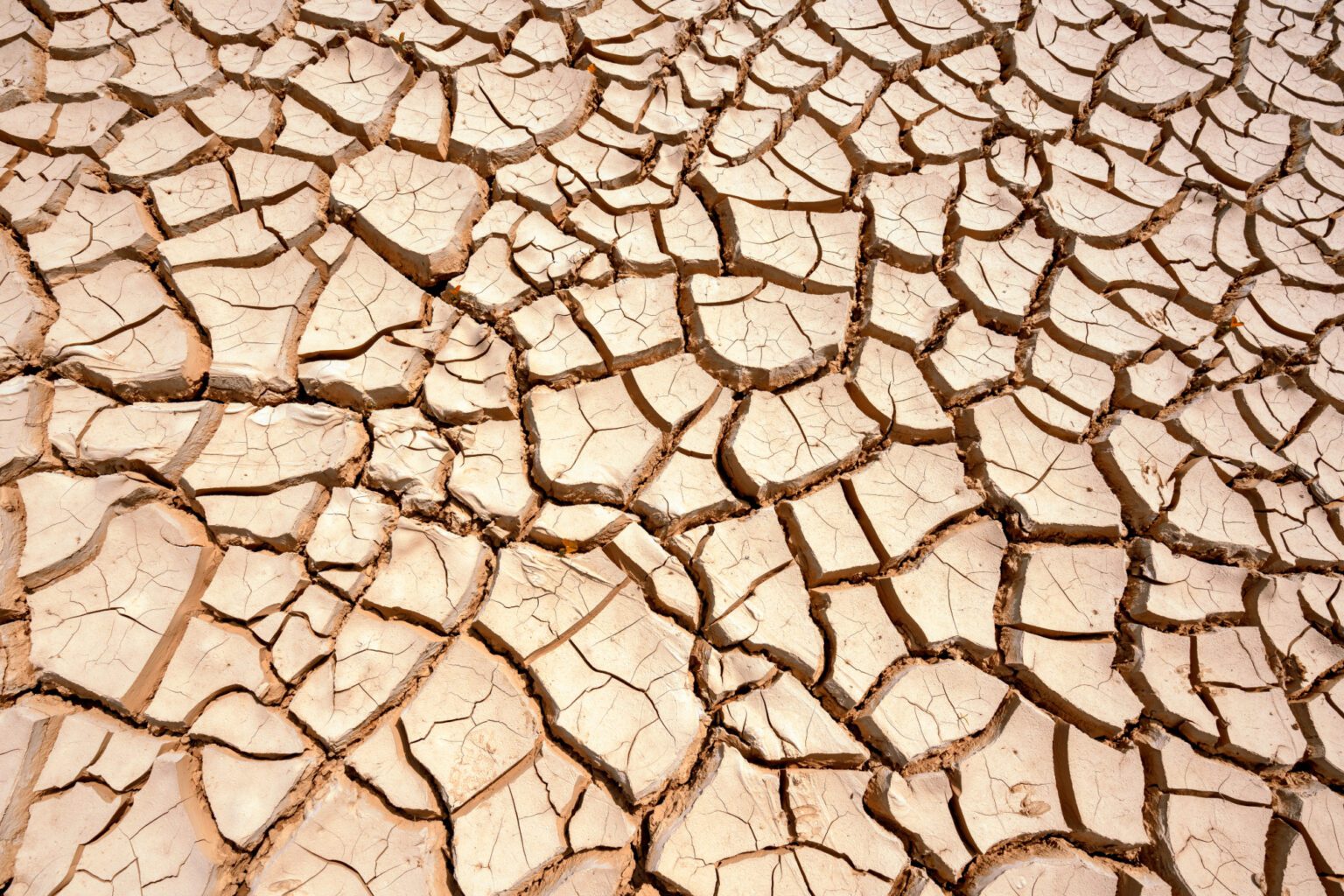 Natural Disasters and Man-made Famines: The Big Picture | World Peace ...